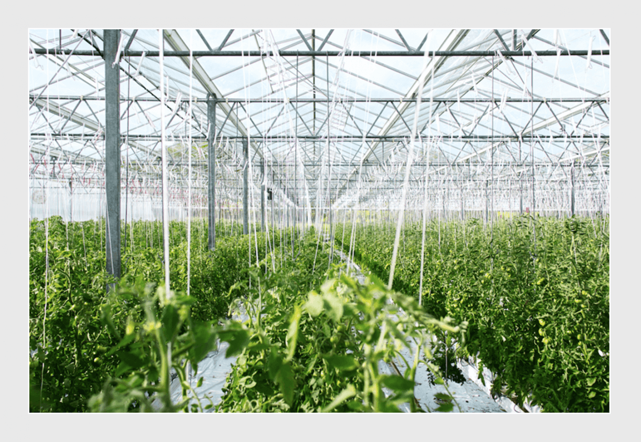 Agriculture Software Development - Purrweb Agriculture Software Development - Purrweb
