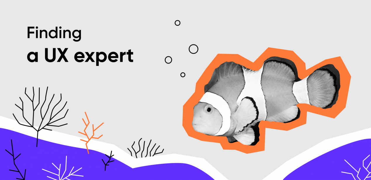 How to know if a UX expert is professional - Purrweb