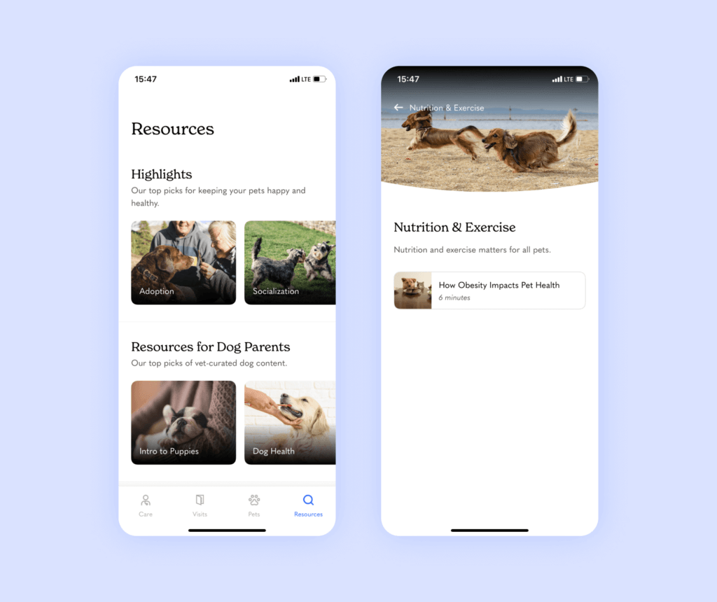 How to Build a Veterinary App in 2025: Features & Costs - Purrweb