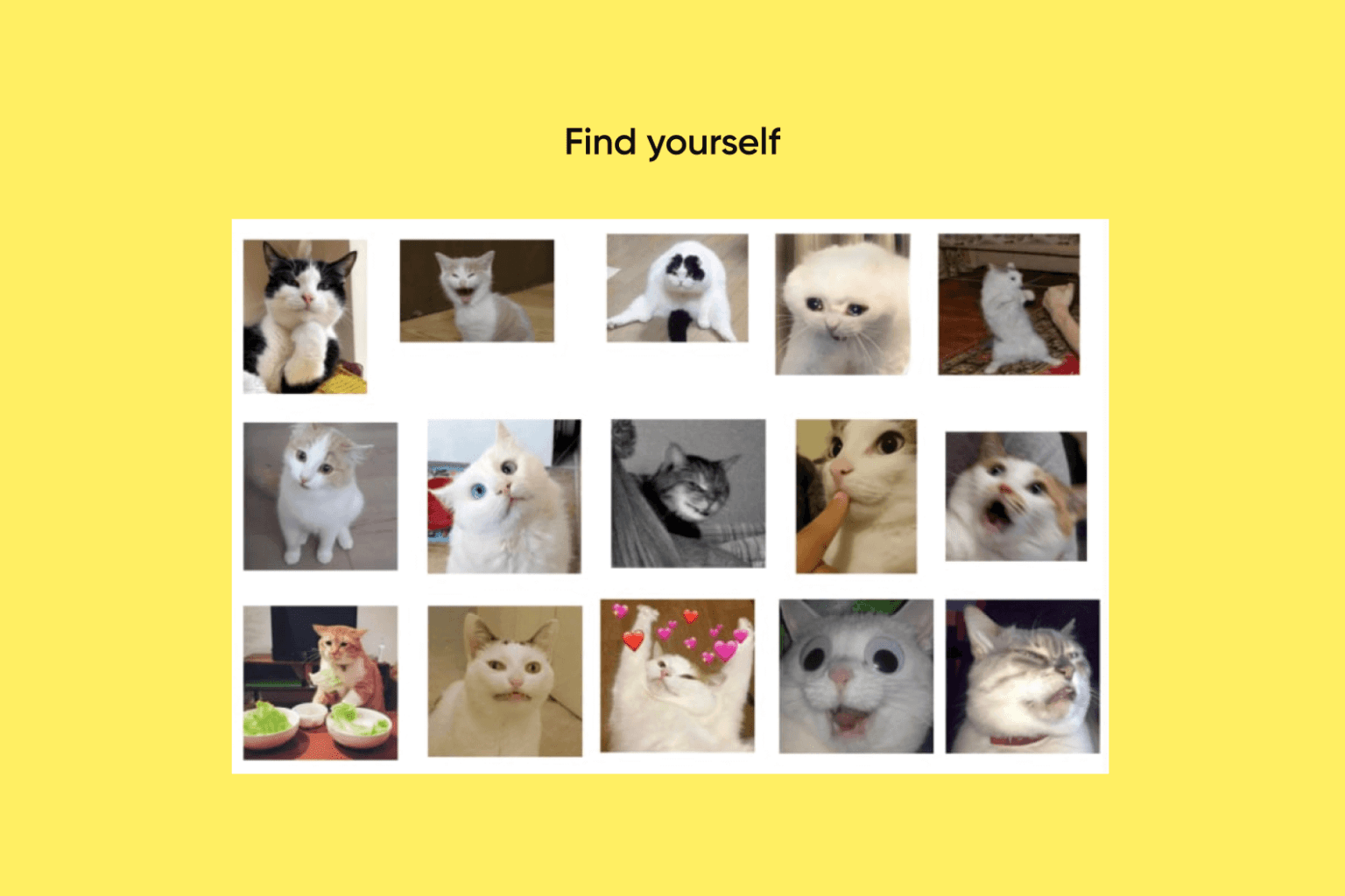 How To Conduct an Effective Retrospective: Tips and a Checklist - Purrweb