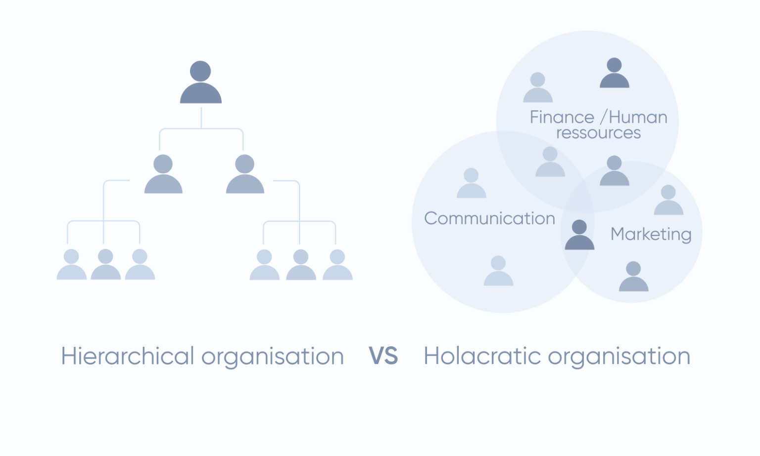 Team Structure: Essential Tips for Startup Success - Purrweb