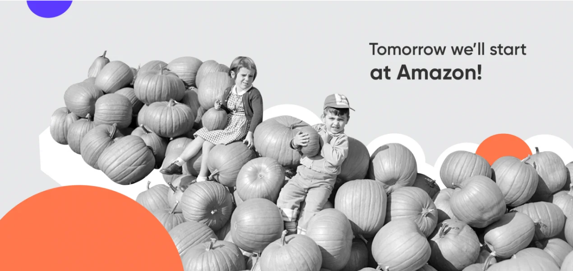 Ecommerce Web Development Services | Purrweb