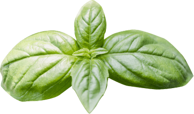 Restaurant Order Management Software | Purrweb